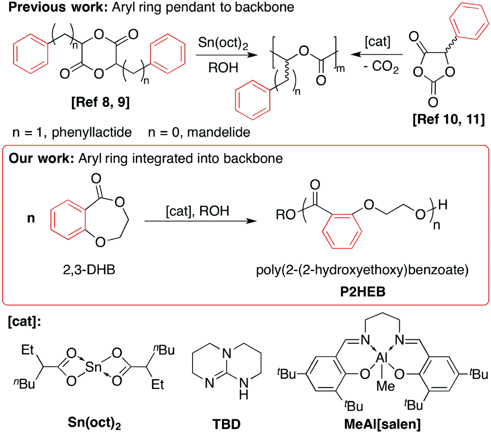 An aromatic/aliphatic polyester prepared via ring-opening ...