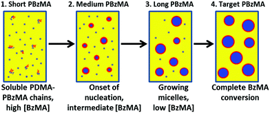 Addition of water to an alcoholic RAFT PISA formulation leads to faster ...