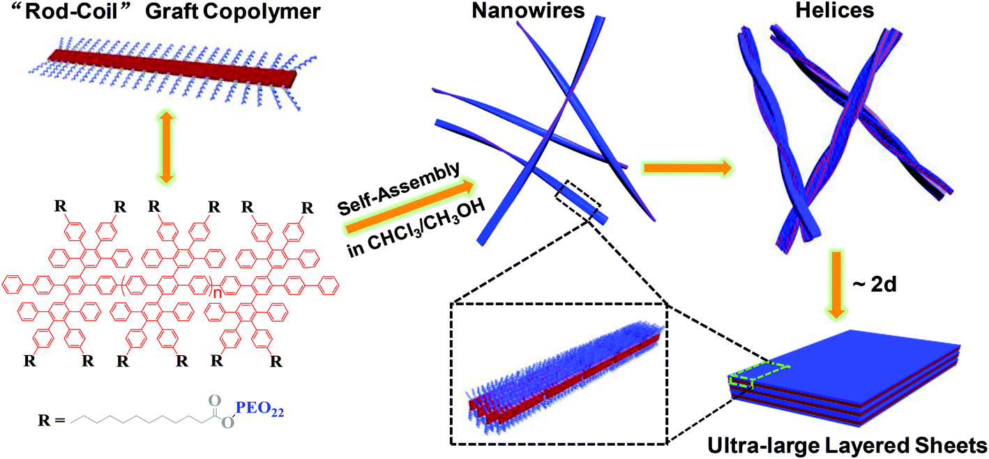 Ultra-large sheet formation by 1D to 2D hierarchical self-assembly of a ...