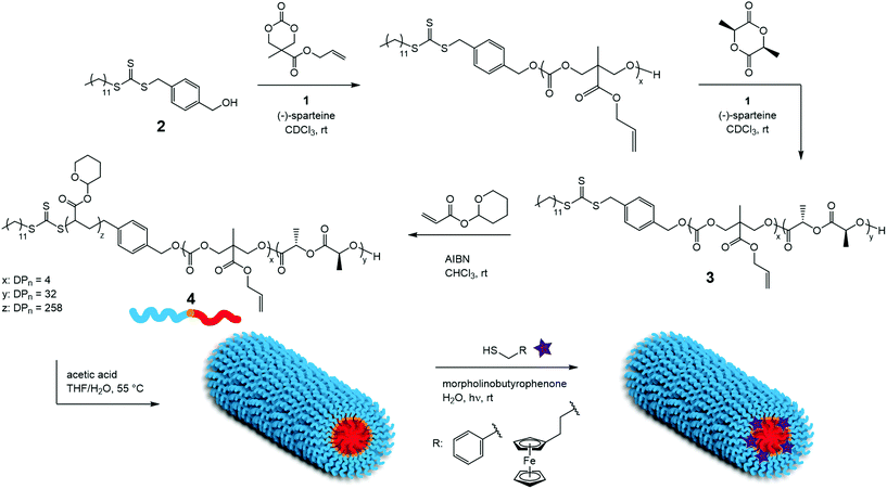 Core functionalization of semi-crystalline polymeric cylindrical ...