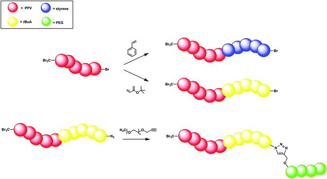 Controlled/living polymerization towards functional poly( p -phenylene ...