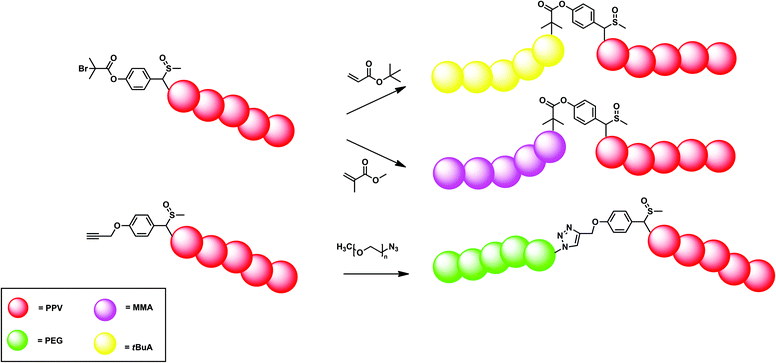 Controlled/living polymerization towards functional poly( p -phenylene ...