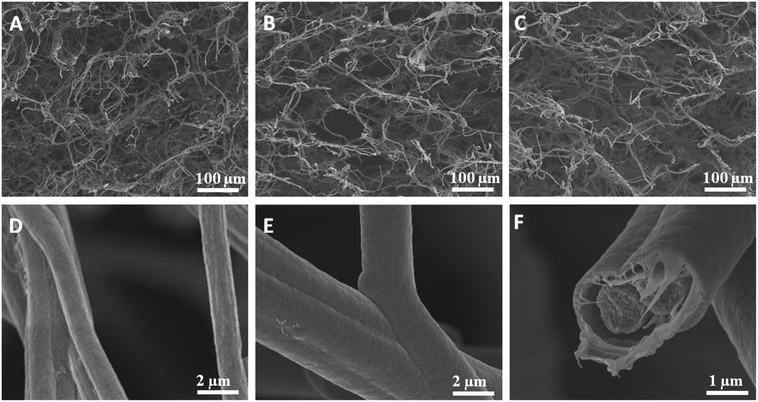 Ultralight open cell polymer sponges with advanced properties by PPX ...