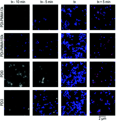 Diffusion of single molecular and macromolecular probes during the free ...