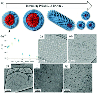 Micellar nanoparticles with tuneable morphologies through interactions ...