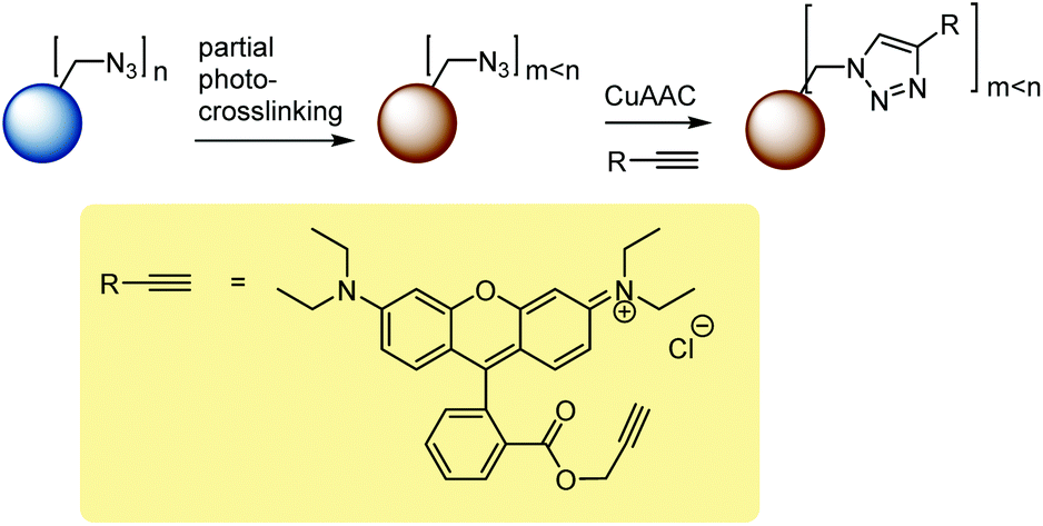 Two in one: use of azide functionality for controlled photo ...