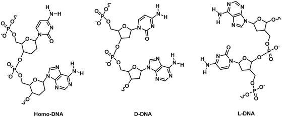 Synthetic genetic polymers: advances and applications - Polymer ...