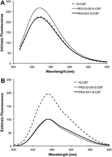 Site-selective enzymatic chemistry for polymer conjugation to protein ...