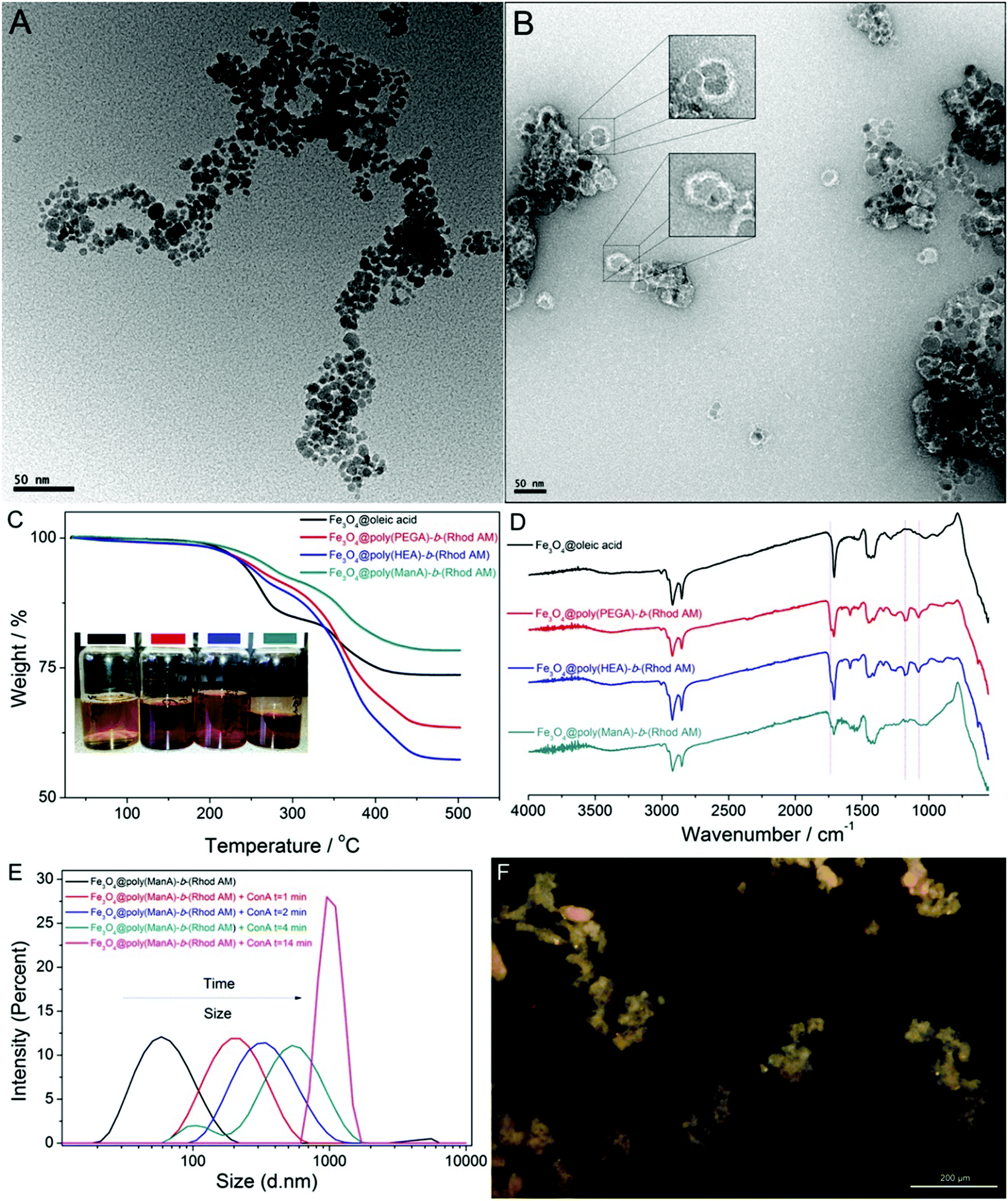 Synthesis of well-defined catechol polymers for surface ...