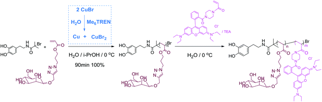 Synthesis of well-defined catechol polymers for surface ...