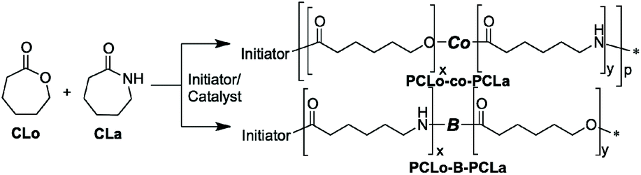 Poly(ester amide)s: recent insights into synthesis, stability and biomedical applications ...