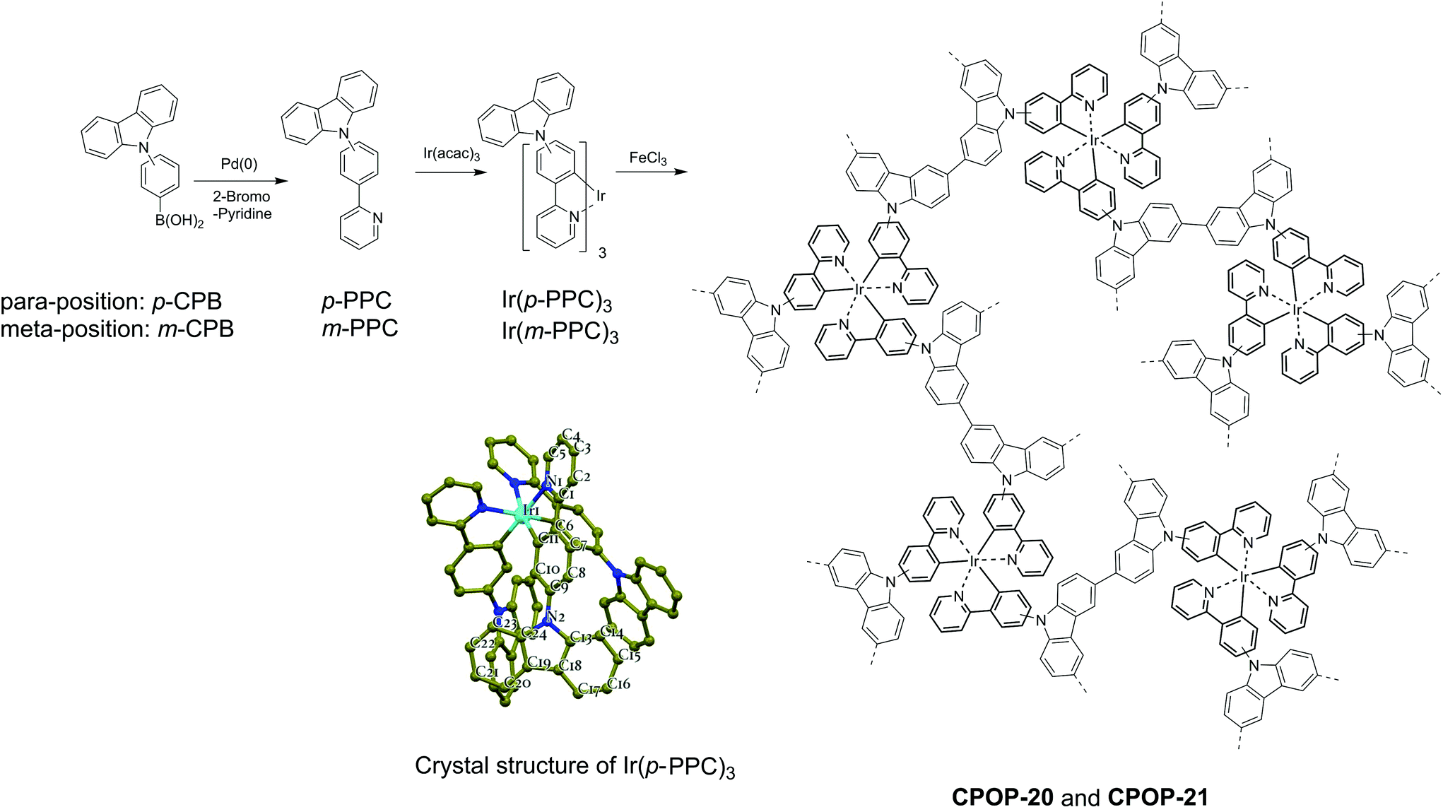 Correction: Conjugated microporous polycarbazole containing tris(2 ...