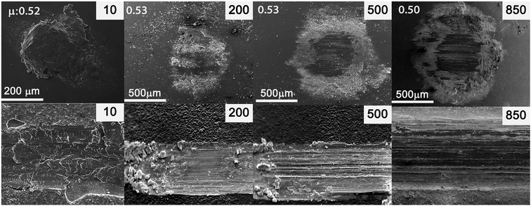 Effect of crystallographic orientation on the tribological behavior of ...