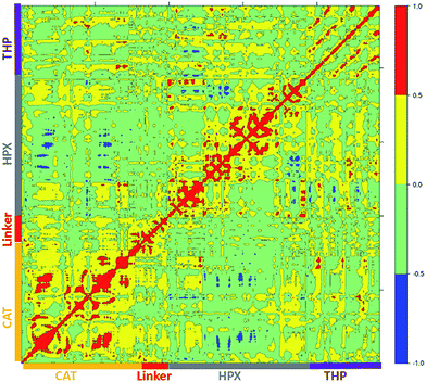 Importance of the linker region in matrix metalloproteinase-1 domain ...