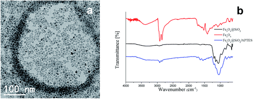 Ultra-fast microwave-assisted reverse microemulsion synthesis of Fe 3 O ...