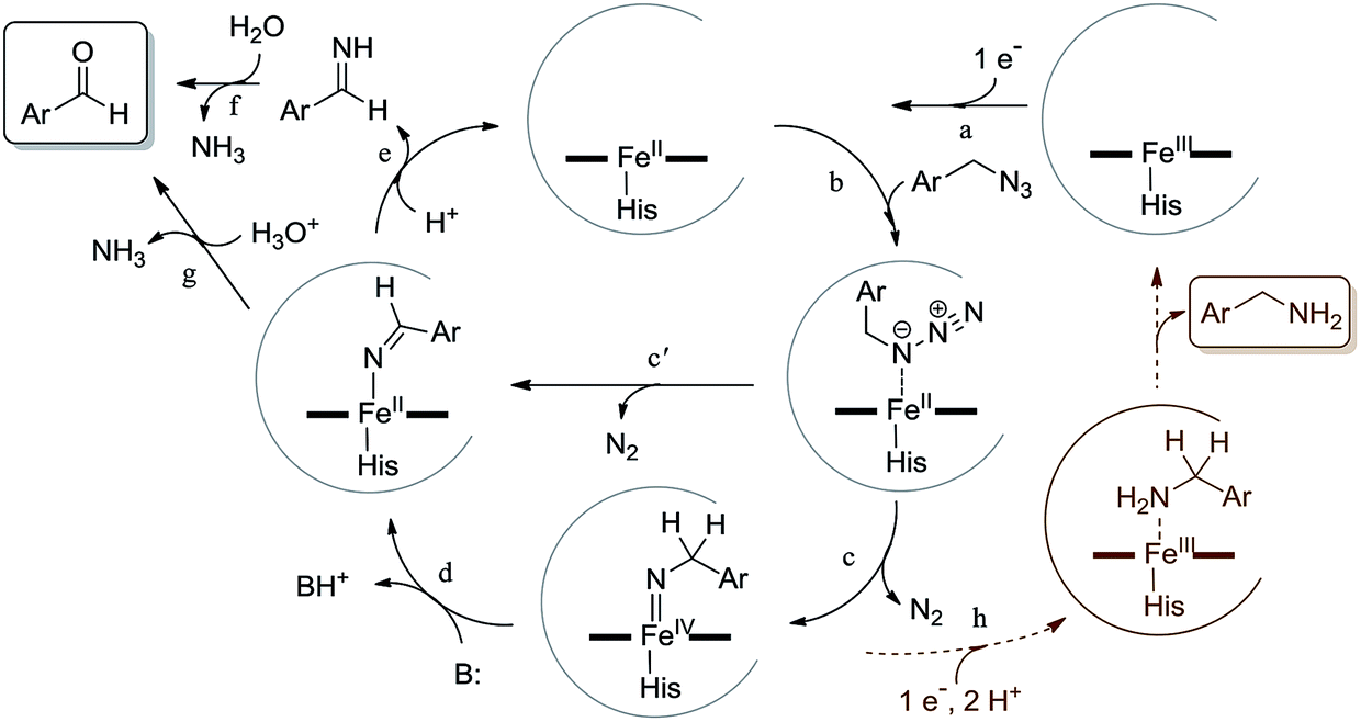 Efficient conversion of primary azides to aldehydes catalyzed by active ...