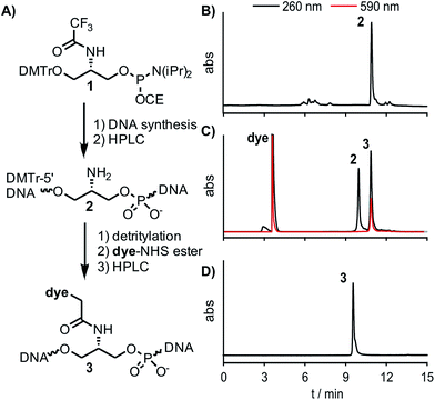 LNA-enhanced DNA FIT-probes for multicolour RNA imaging - Chemical ...