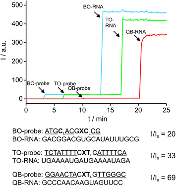 LNA-enhanced DNA FIT-probes for multicolour RNA imaging - Chemical ...