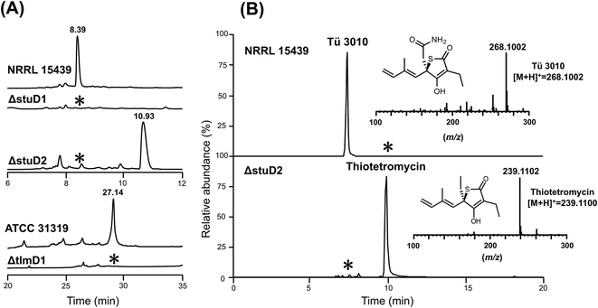 A genomics-led approach to deciphering the mechanism of thiotetronate ...