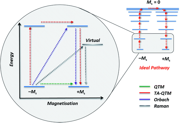 The rise of 3-d single-ion magnets in molecular magnetism: towards ...