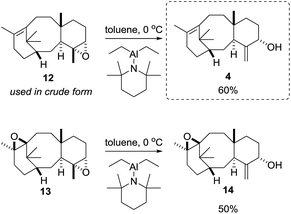 Accessing low-oxidation state taxanes: is taxadiene-4(5)-epoxide on the ...
