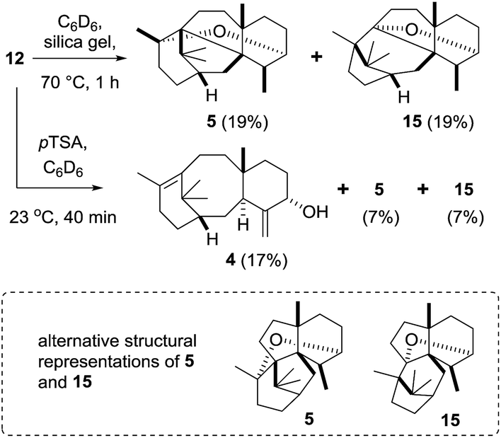 Accessing low-oxidation state taxanes: is taxadiene-4(5)-epoxide on the ...