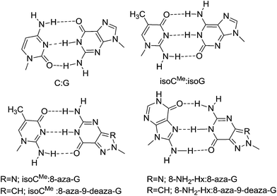 Base pairing involving artificial bases in vitro and in vivo - Chemical ...