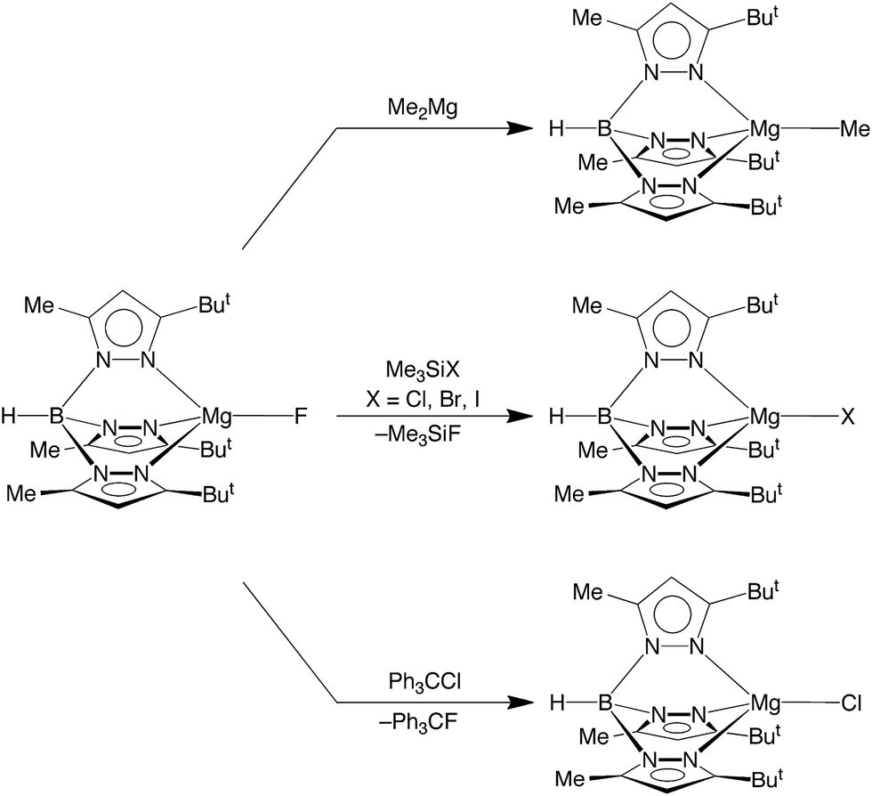 Synthesis, structure and reactivity of a terminal magnesium fluoride ...