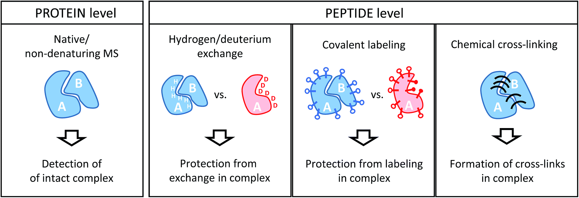 Cross-linking and other structural proteomics techniques: how chemistry ...