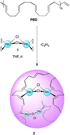 Single-chain polybutadiene organometallic nanoparticles: an ...