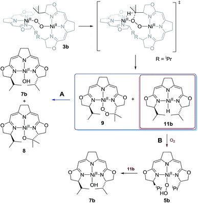 Electronic structure and reactivity of nickel( i ) pincer complexes ...