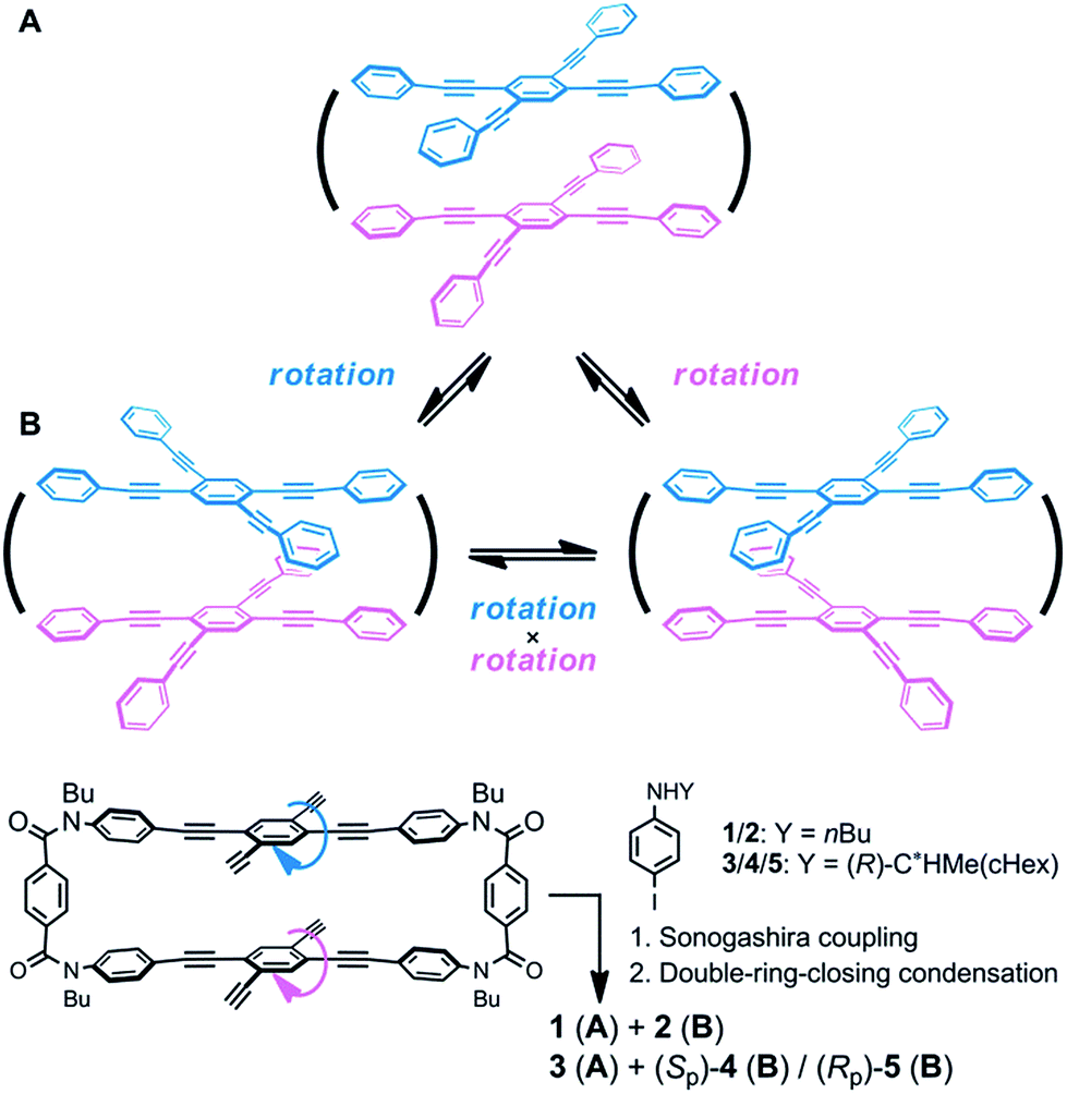 Dynamic helical cyclophanes with two quadruply-bridged planes arranged ...