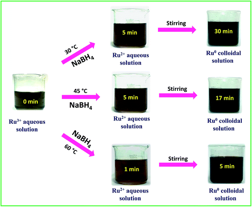 Unprotected and interconnected Ru 0 nano-chain networks: advantages of ...