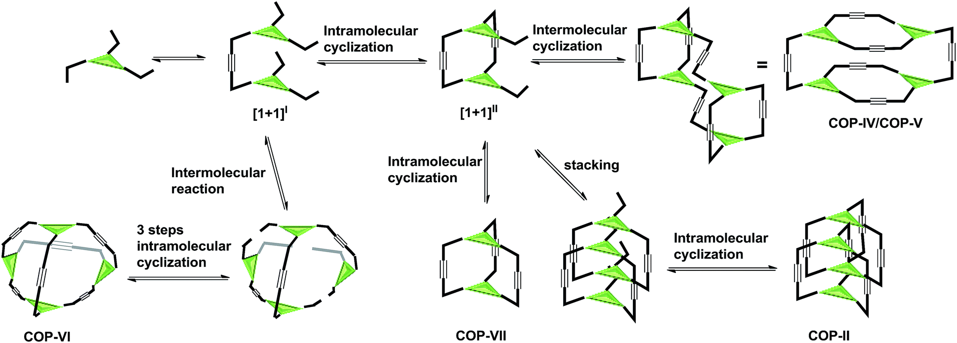 Dynamic covalent synthesis of aryleneethynylene cages through alkyne ...
