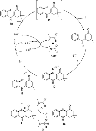 The involvement of the trisulfur radical anion in electron-catalyzed ...