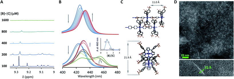 Multivalence cooperativity leading to “all-or-nothing” assembly: the ...