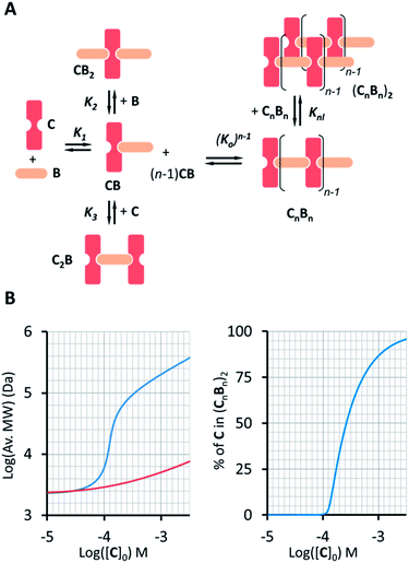 Multivalence cooperativity leading to “all-or-nothing” assembly: the ...
