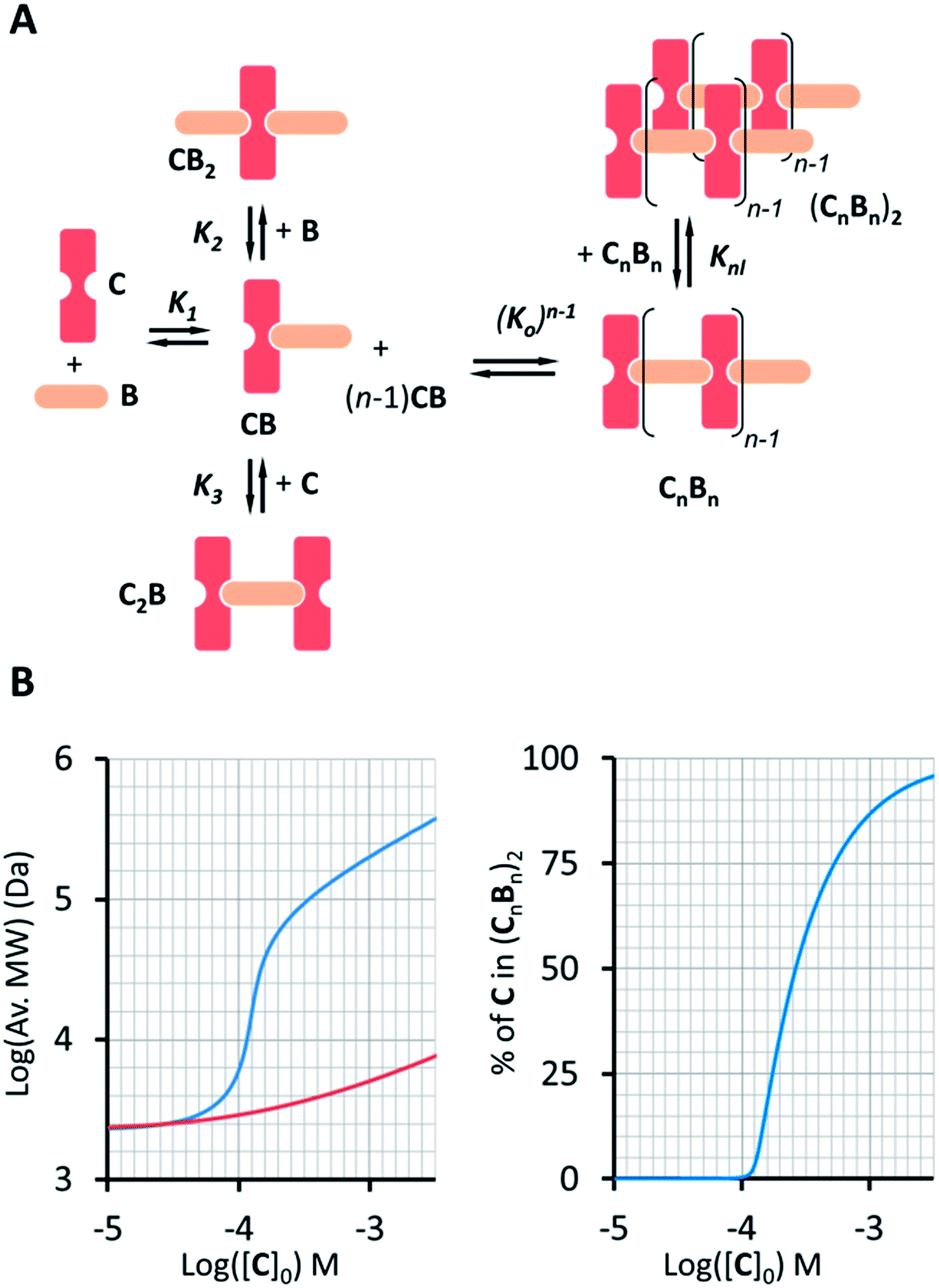 Multivalence cooperativity leading to “all-or-nothing” assembly: the ...