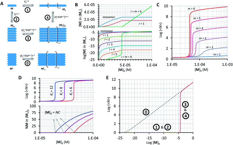 Multivalence cooperativity leading to “all-or-nothing” assembly: the ...