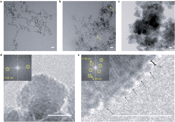 Bioinspired magnetite synthesis via solid precursor phases - Chemical ...