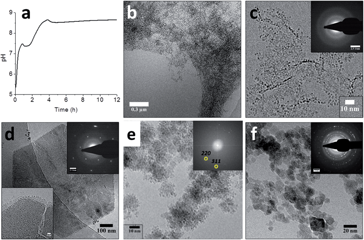 Bioinspired magnetite synthesis via solid precursor phases - Chemical ...