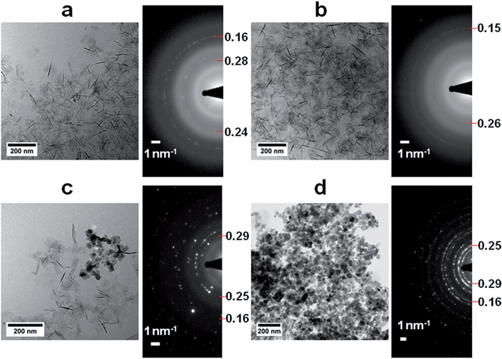 Bioinspired magnetite synthesis via solid precursor phases - Chemical ...