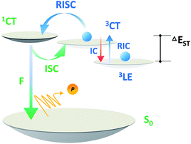 “Rate-limited effect” of reverse intersystem crossing process: the key ...