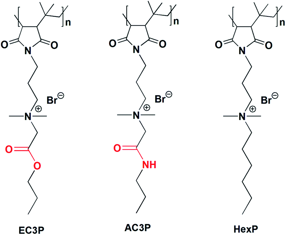 Isosteric substitution in cationic-amphiphilic polymers reveals an ...