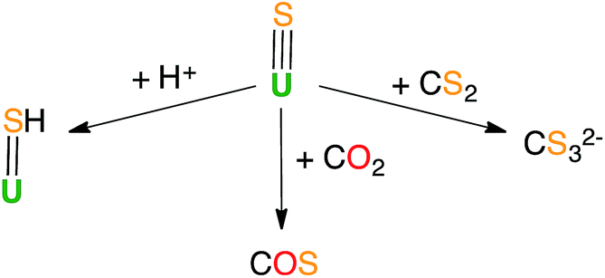 Synthesis and reactivity of a terminal uranium( iv ) sulfide supported ...