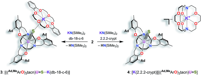 Uranium( iv ) terminal hydrosulfido and sulfido complexes: insights ...