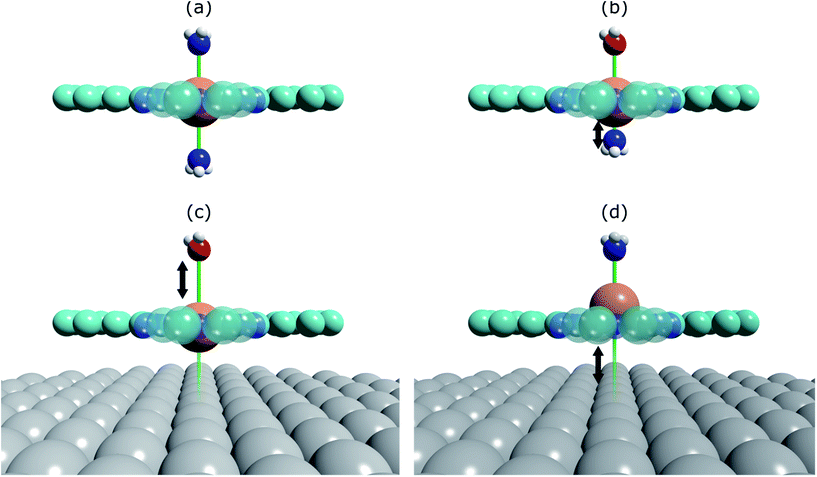 Direct quantitative identification of the “surface trans -effect ...