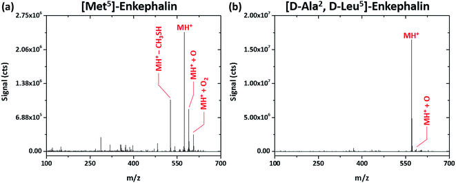 Atmospheric-pressure ionization and fragmentation of peptides by ...