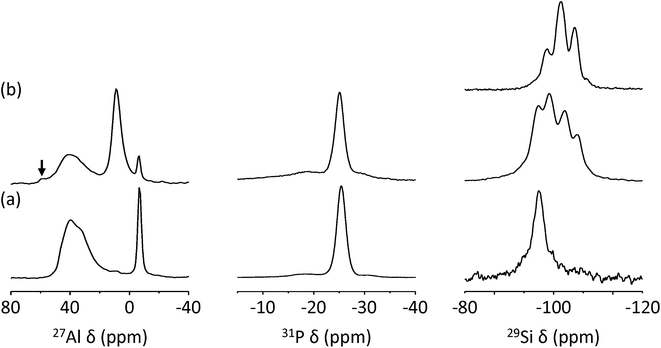 Solid solution of a zeolite and a framework-bound OSDA-containing ...