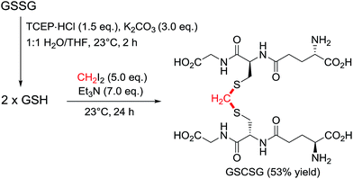 Converting disulfide bridges in native peptides to stable methylene ...